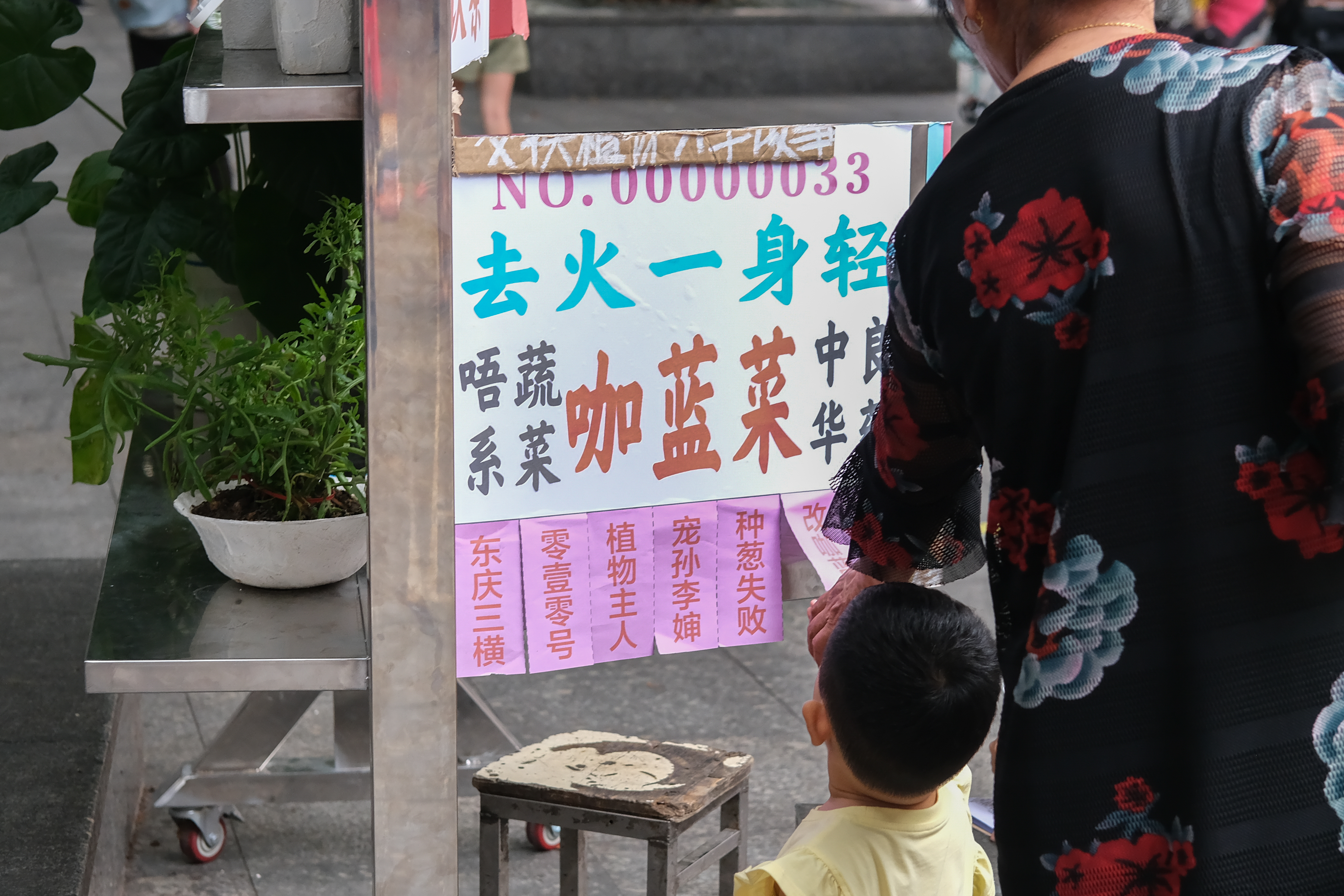 社区营造设计项目｜植物房客_3883號房客-站酷ZCOOL