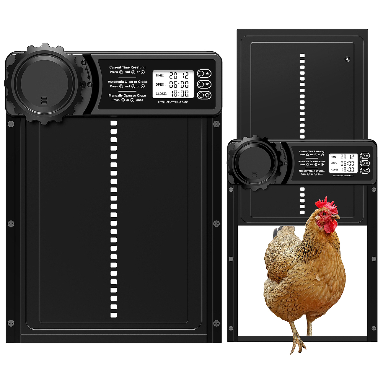 鸡舍门_Daminz-站酷ZCOOL