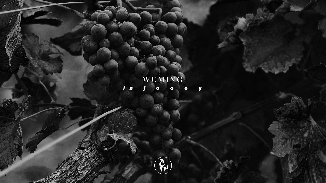 悦 injoooy红酒品牌标志设计、红酒包装设计_张韬zhangtao-站酷ZCOOL