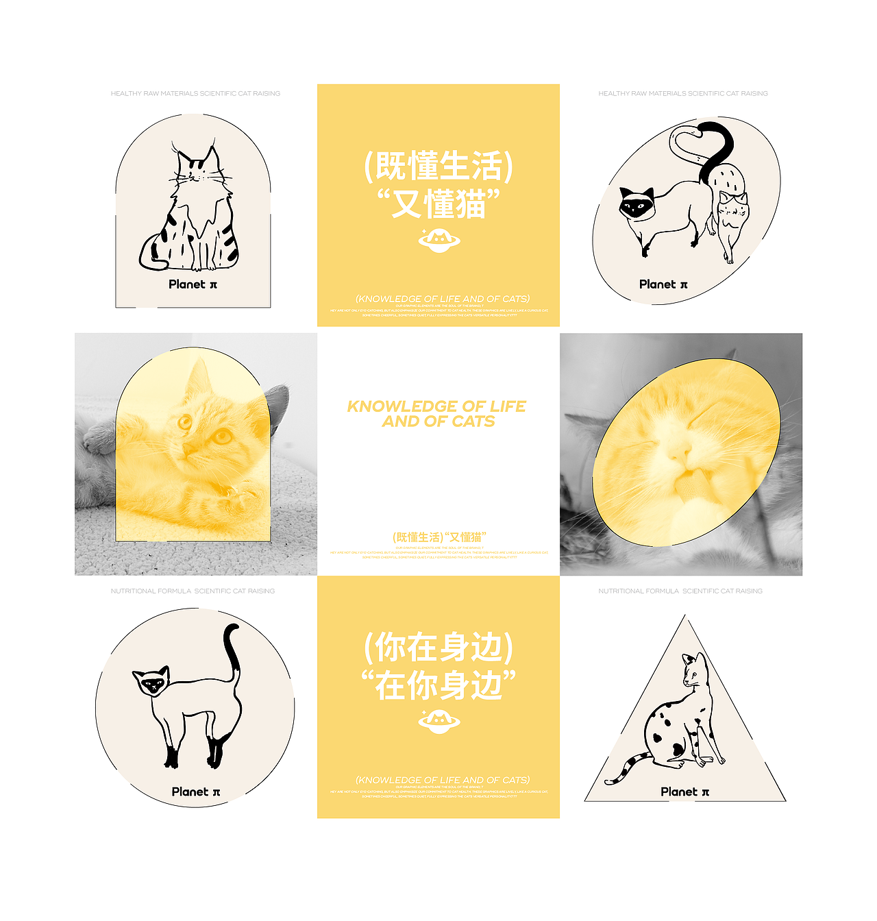 【宠返星球】宠物品牌设计/vi设计/包装设计_BUFF品牌设计-站酷ZCOOL