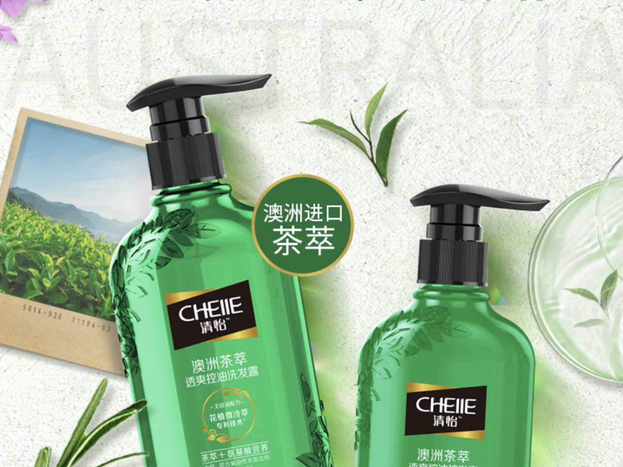 立白清怡 茶萃详情页_kunnn-站酷ZCOOL