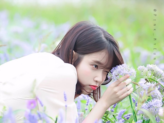 花习作_筱柒喜-站酷ZCOOL