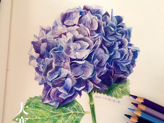 彩铅练习_jiangqiuqiu-站酷ZCOOL