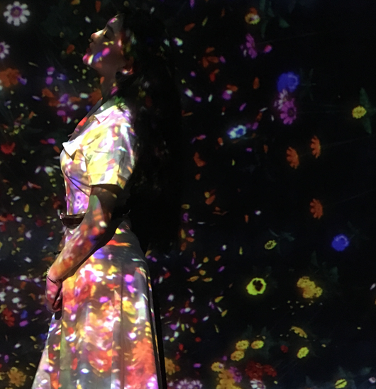 武汉TMTT全息互动花海光影展_TMTT全息光影-站酷ZCOOL