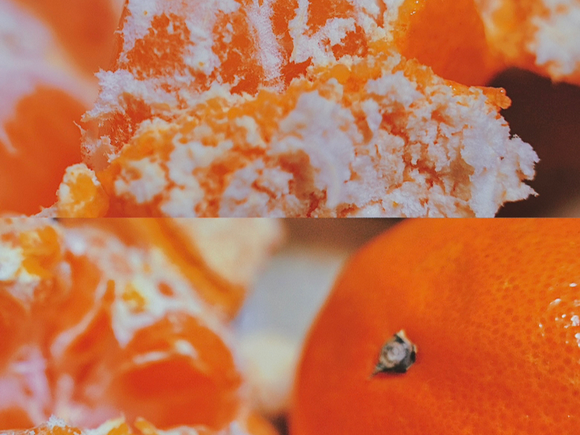 大🍊大利_Pei在岐阜-站酷ZCOOL