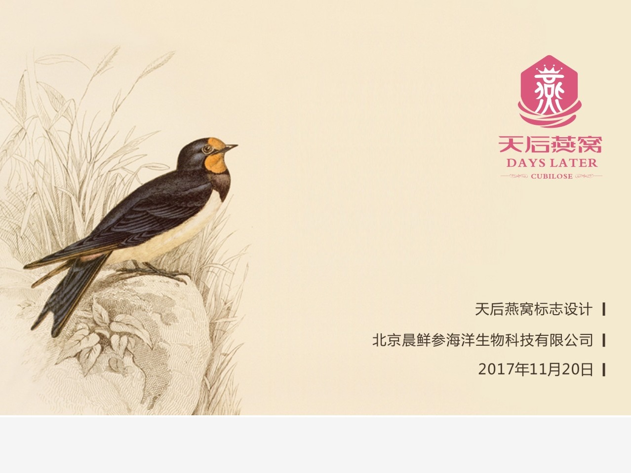 天后燕窝-即食燕窝包装设计_小久设计-站酷ZCOOL