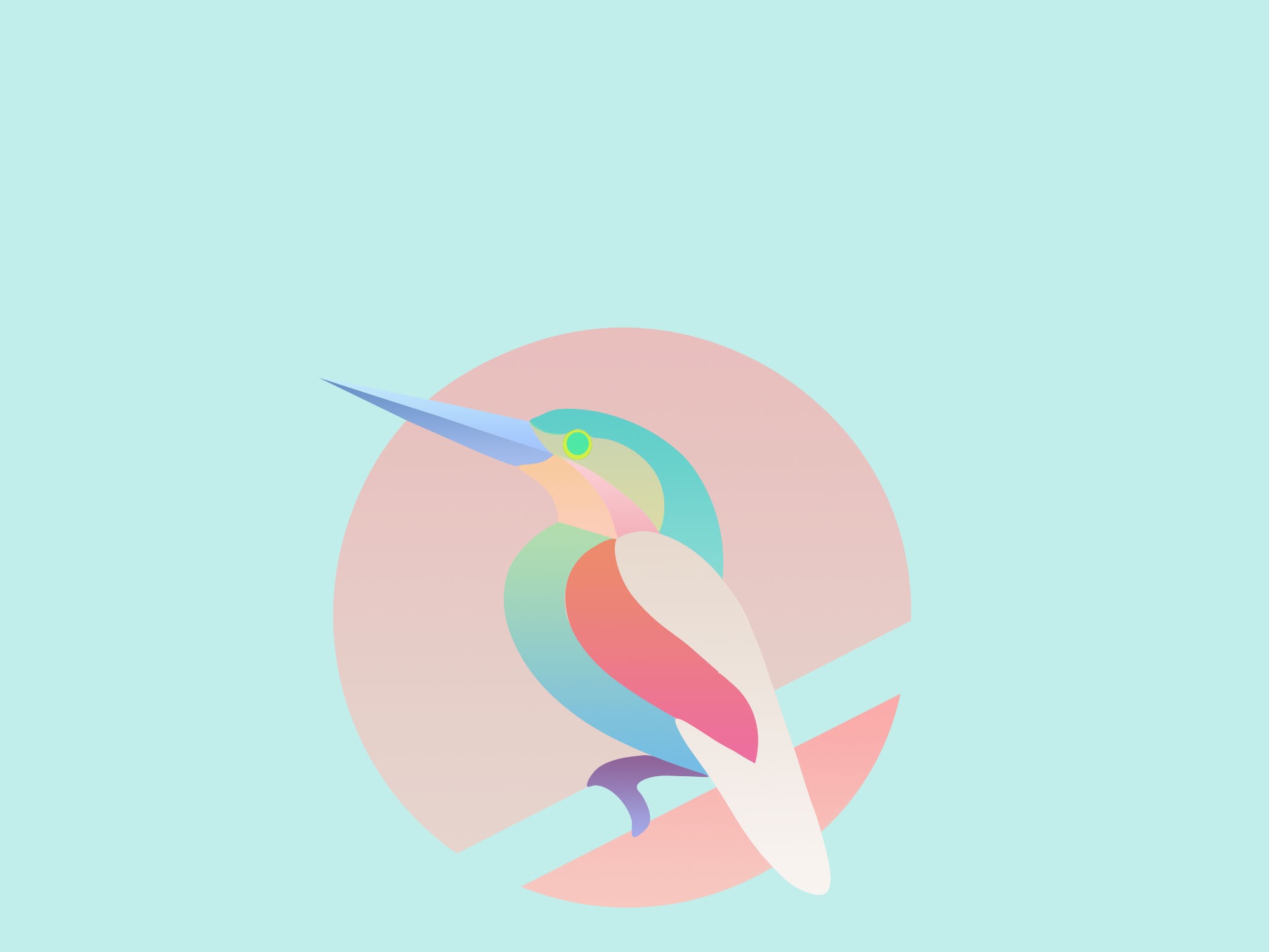 调色鸟_配平tt-站酷ZCOOL