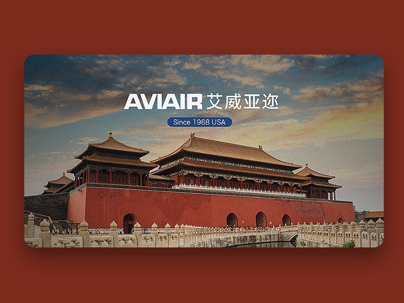 AVIAIR品牌故事_清醒闲散-站酷ZCOOL