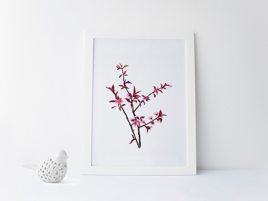 手绘水彩 植物花卉 _zcl小鱼干-站酷ZCOOL