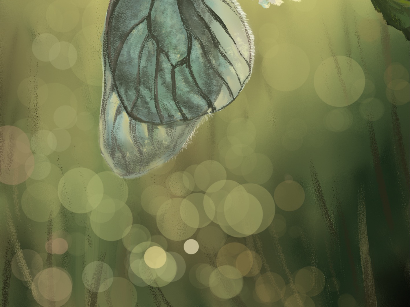 练习_阿叶子lalala-站酷ZCOOL