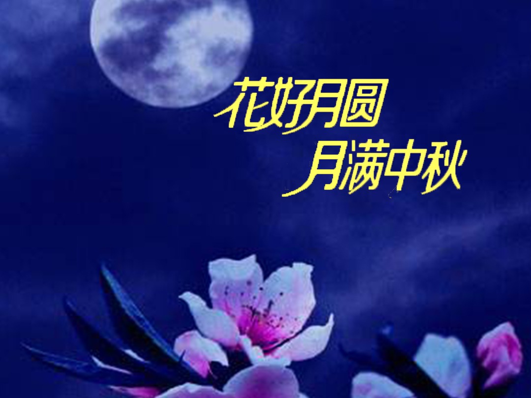 “花好月圆，月满中秋”—中秋海报设计_Ax3w-站酷ZCOOL