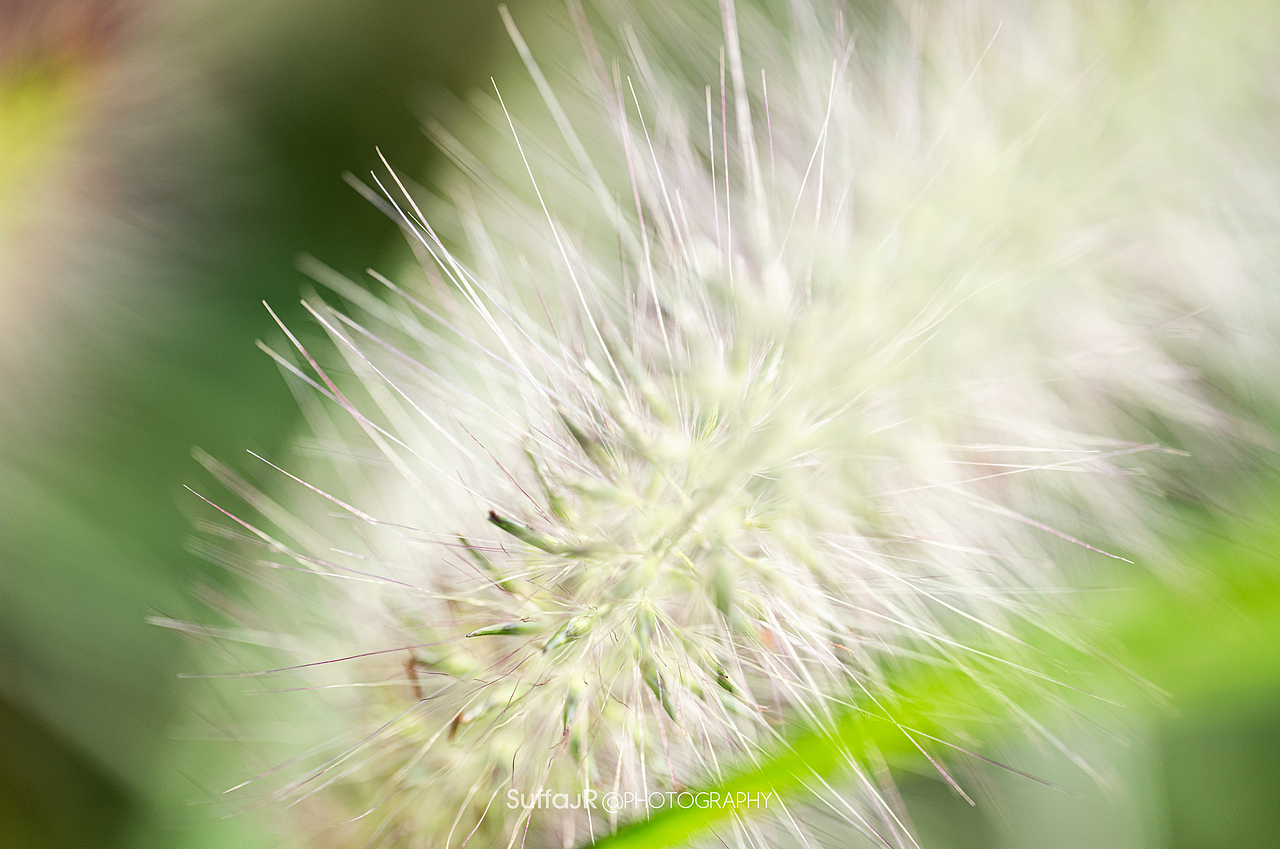 上海街头20230918_朱尼尔沙发SUFFA-站酷ZCOOL