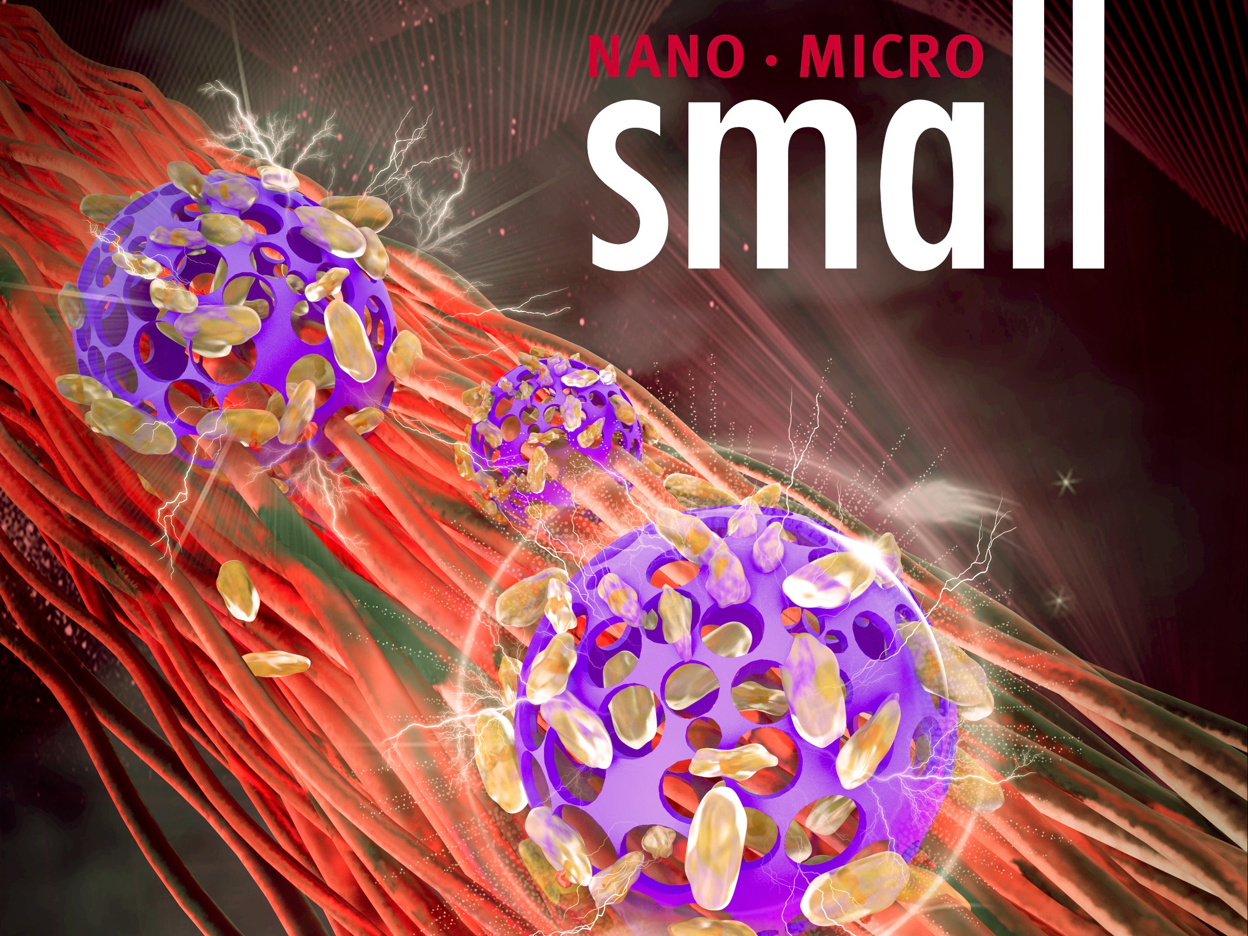 Small_scihua-站酷ZCOOL