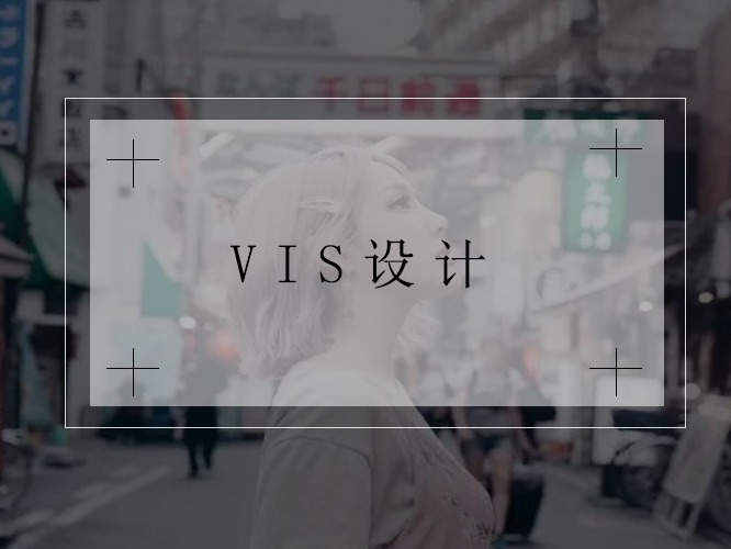 品牌VIS_逝温-站酷ZCOOL