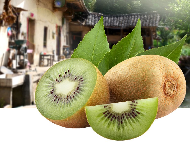 野生猕猴桃 猕猴桃详情页_abc1038-站酷ZCOOL