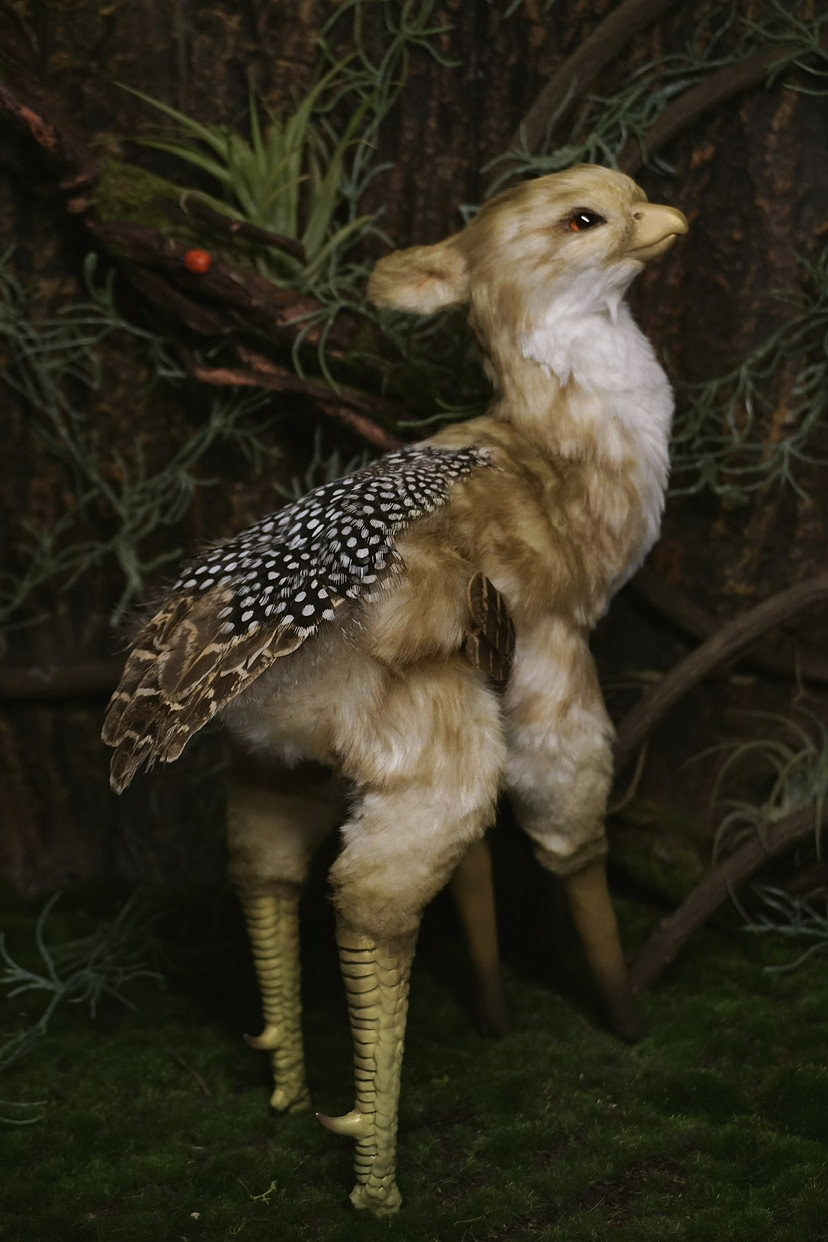 幻想生物|鹿鹫_不关门捷列夫的事-站酷ZCOOL