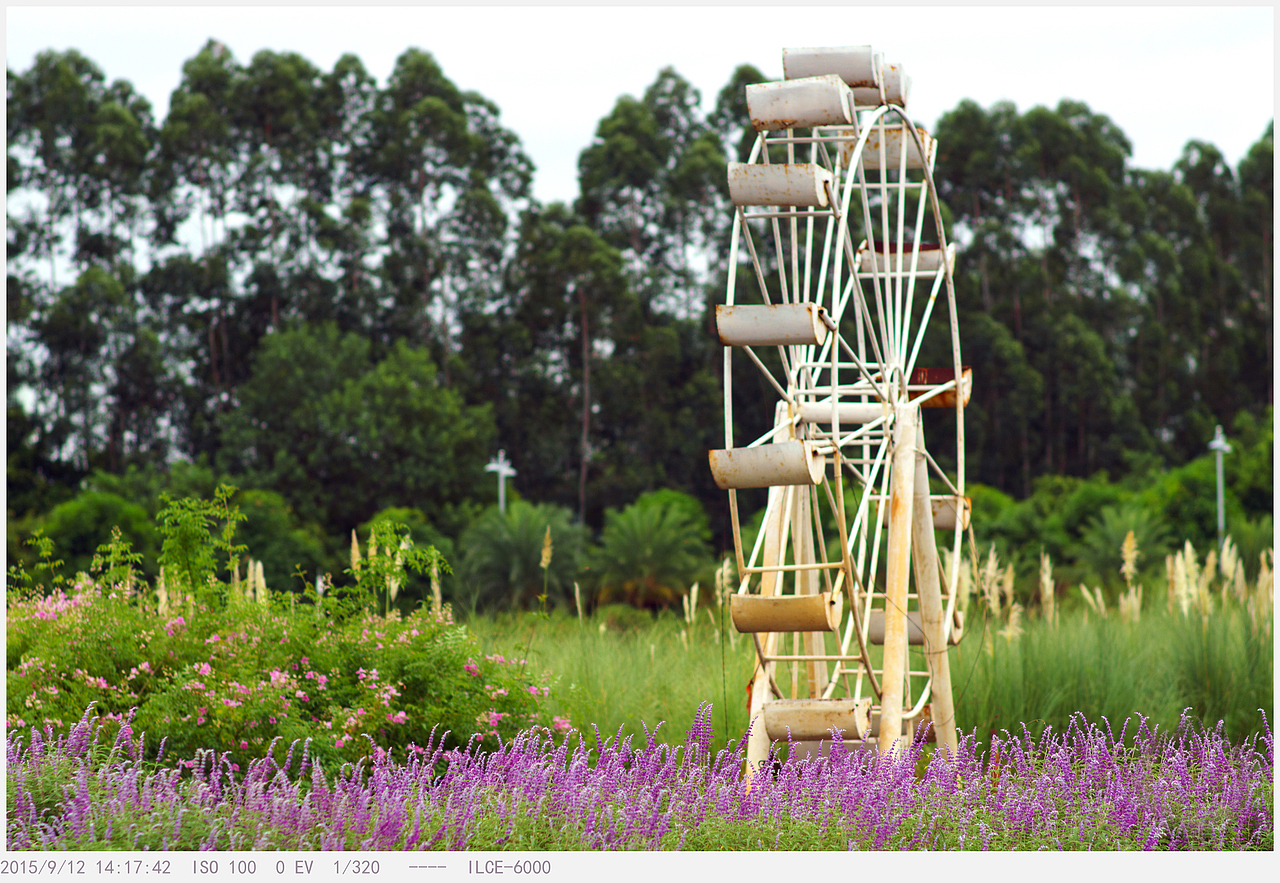 花卉公园一角_s1那么美1c-站酷ZCOOL