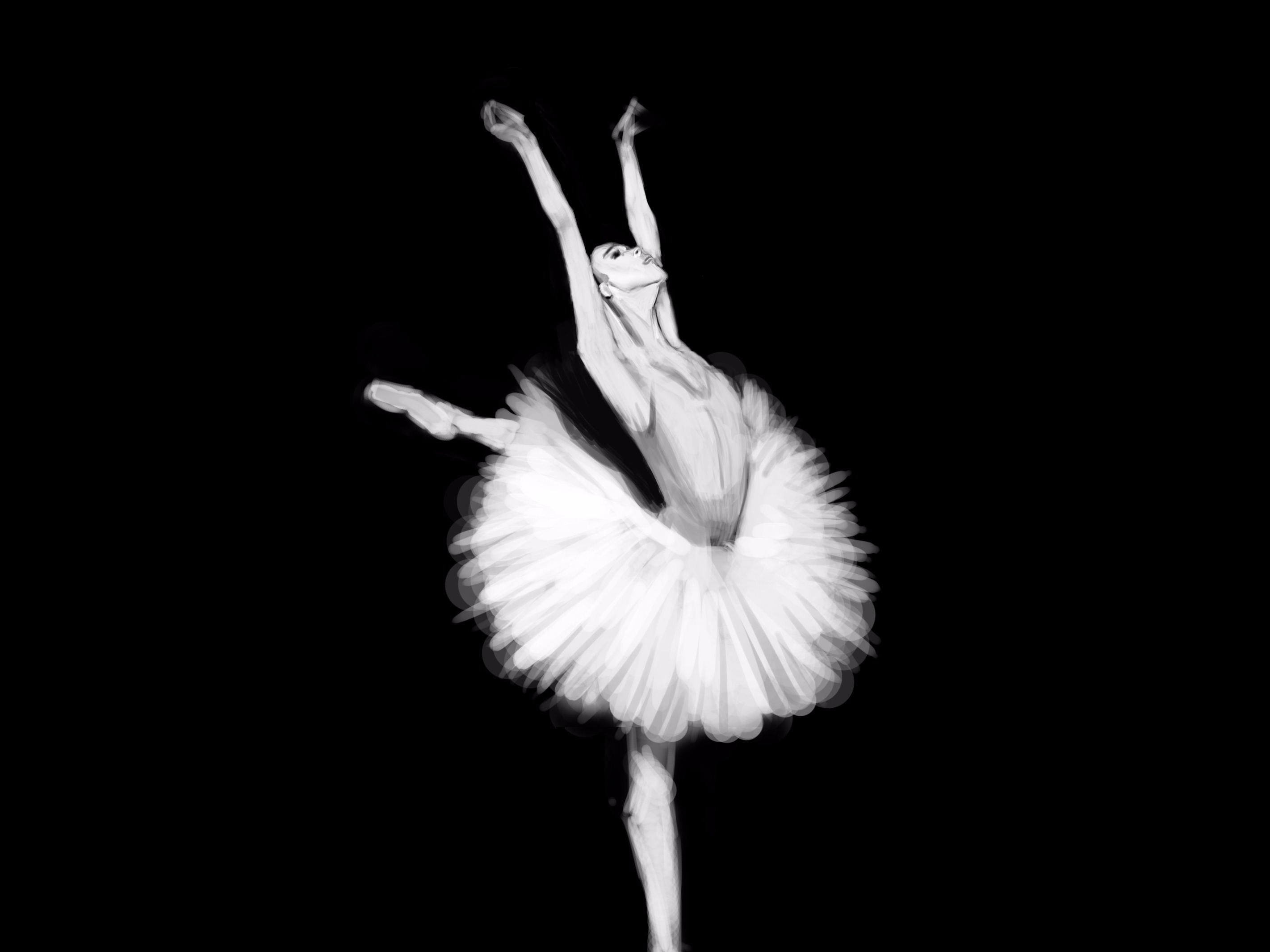 天鹅舞－速涂_hyzlychee-站酷ZCOOL