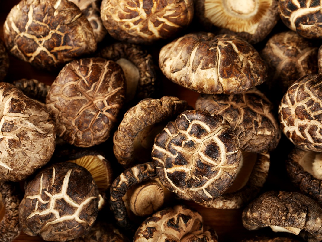 香菇 | 美食摄影_摄影师MrWang-站酷ZCOOL