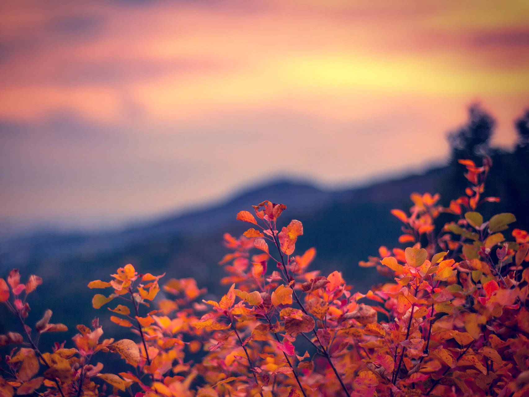 秋誌2020_amhx-站酷ZCOOL