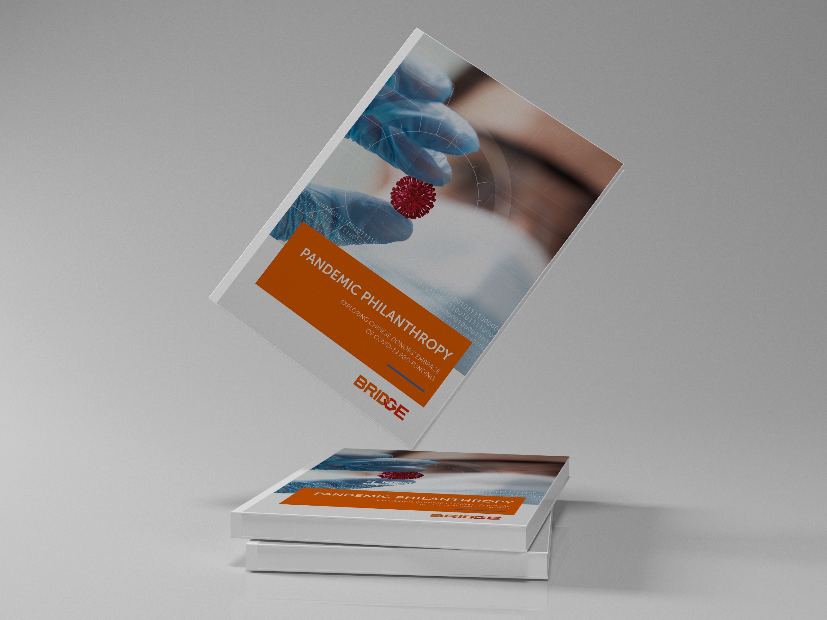 BRIDCE_2222我-站酷ZCOOL