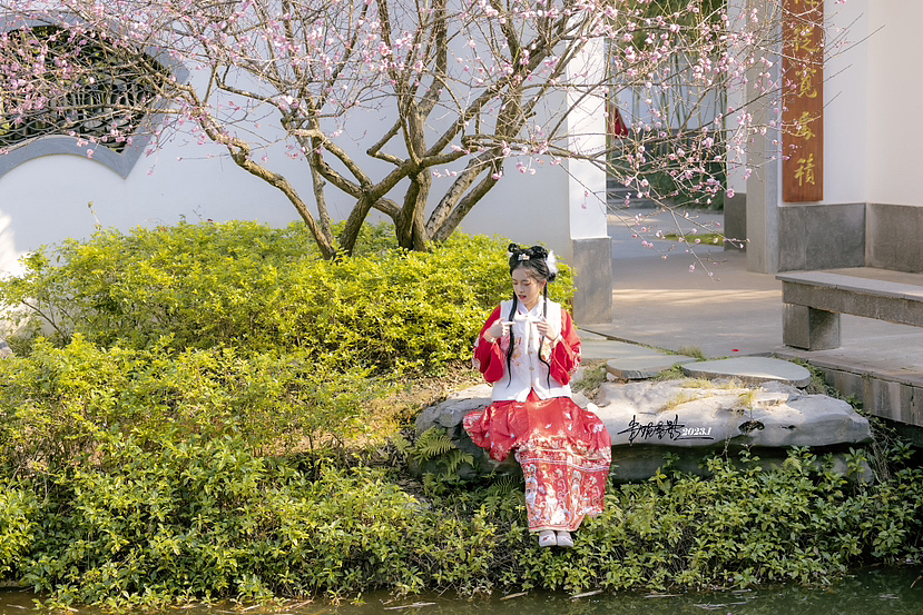 红梅贺新春_米妮叠影-站酷ZCOOL