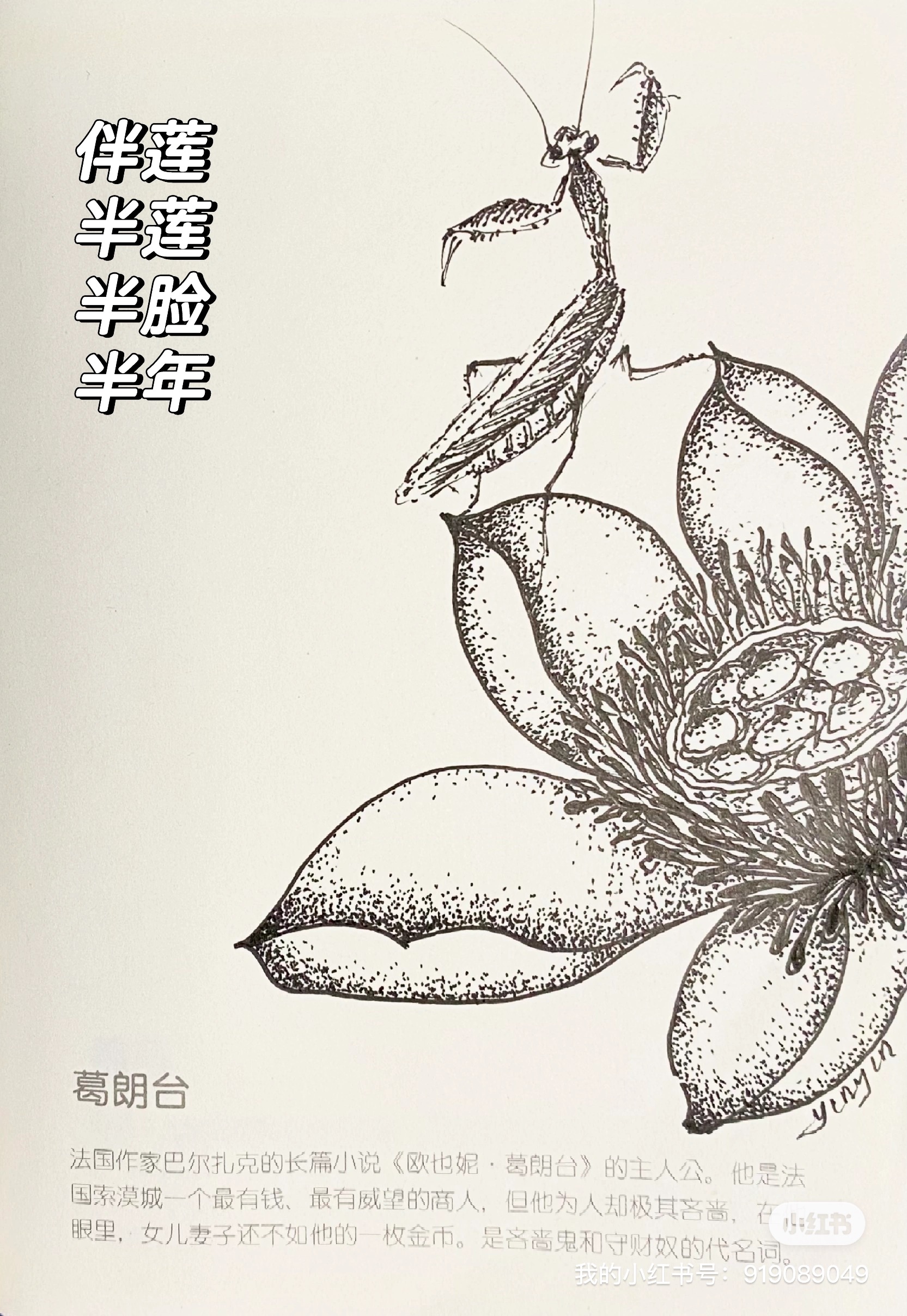 针管笔点绘_广州茵茵-站酷ZCOOL