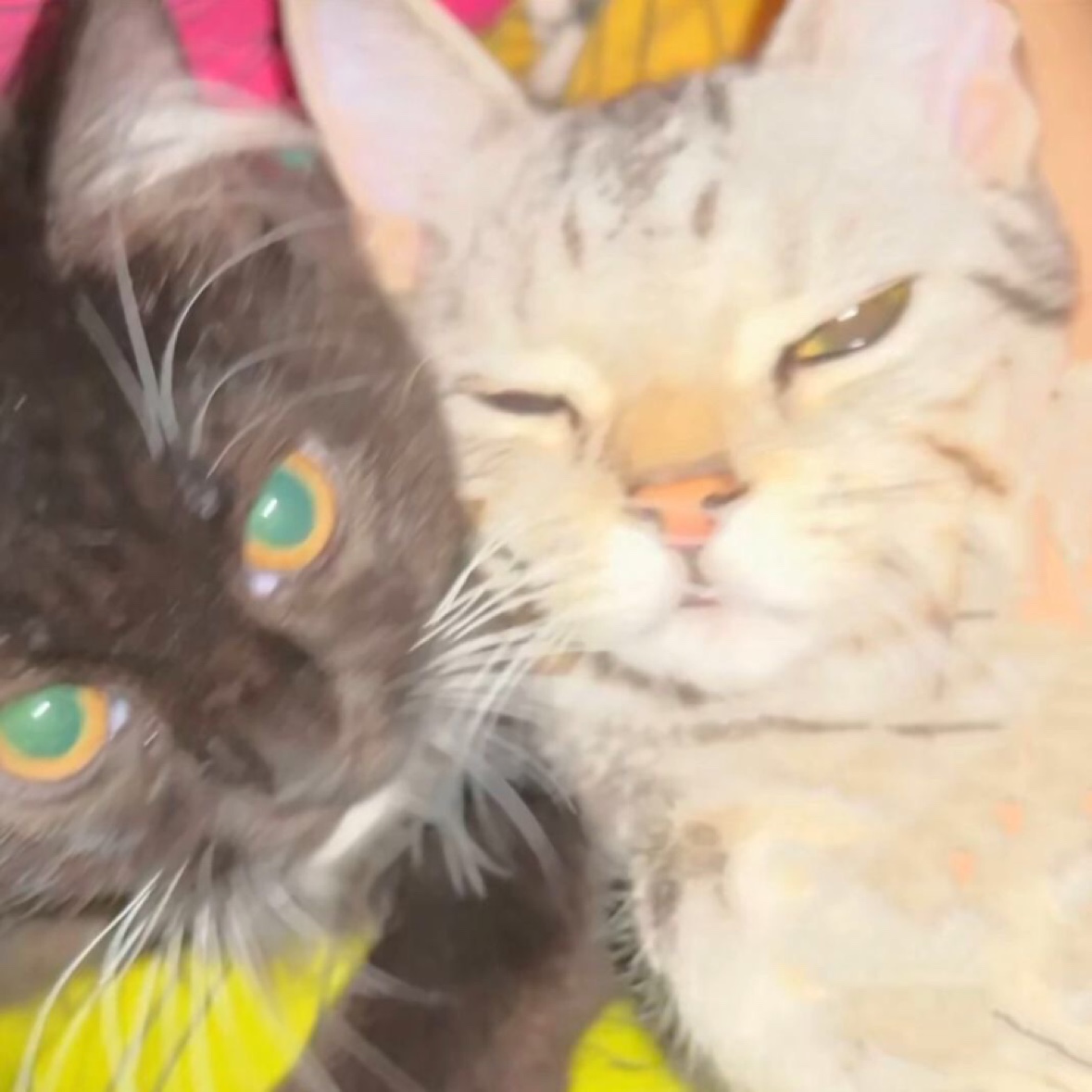 coolay创作者主页_上海UI设计师-站酷ZCOOL