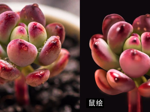 漫画汤姆_Zora_Hao-站酷ZCOOL