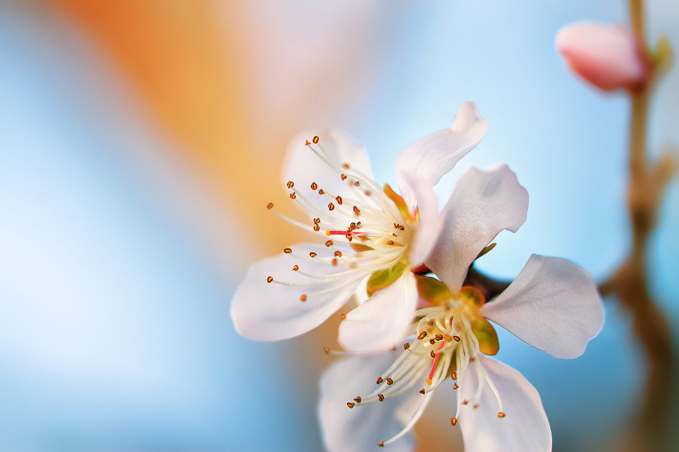 春初_amhx-站酷ZCOOL