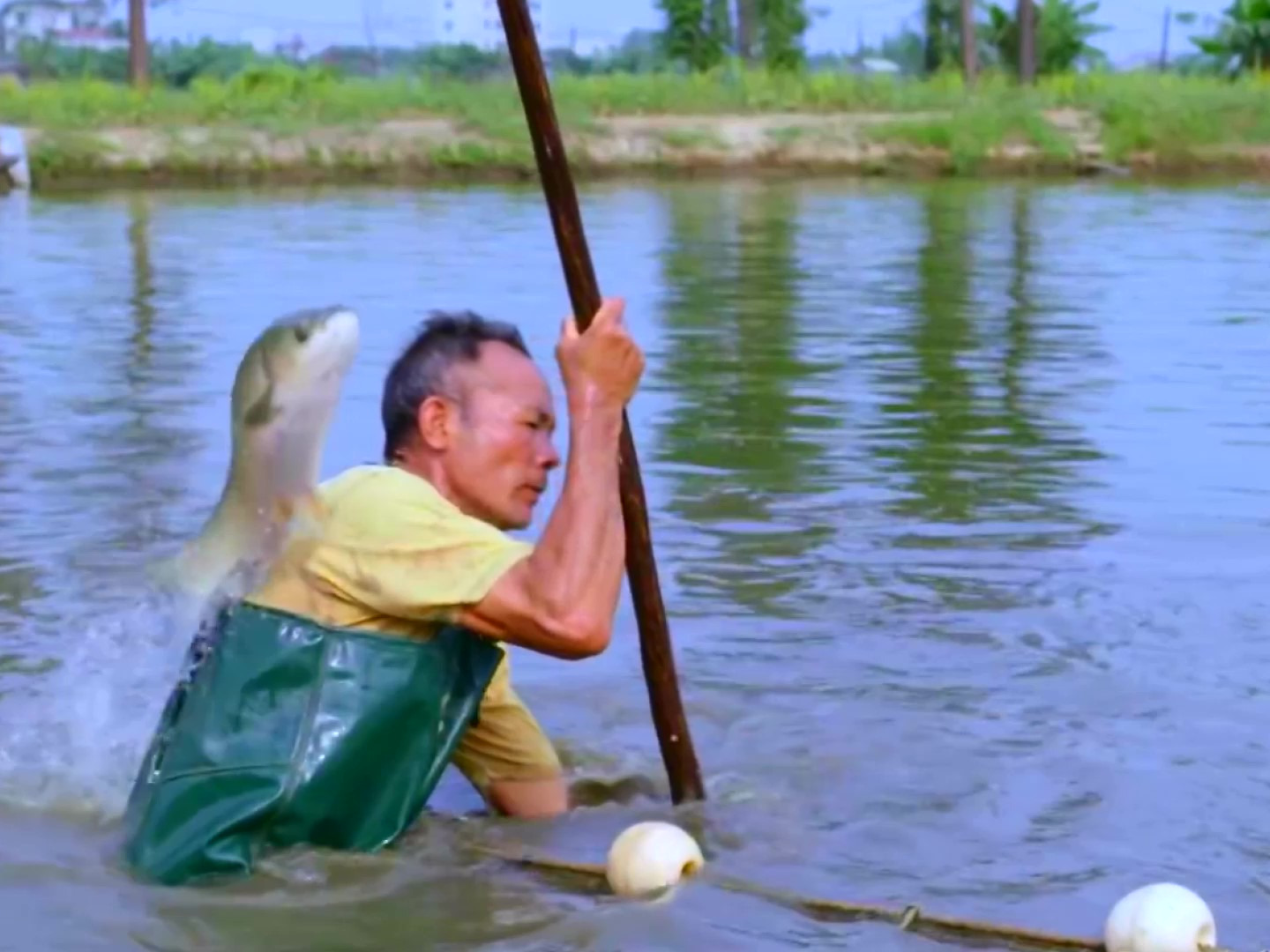 跟着美食去旅行_广东顺德_HYMP-站酷ZCOOL