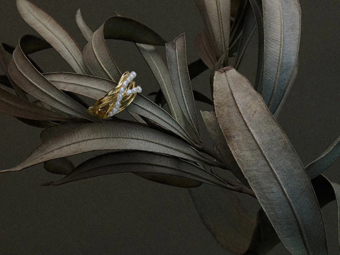 自然生长_SECO_STUDIO-站酷ZCOOL