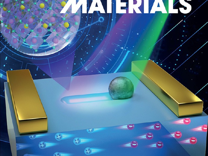 SCI学术期刊杂志封面设计/科研绘图/Adv.Funct.Mater._北京中科幻彩-站酷ZCOOL