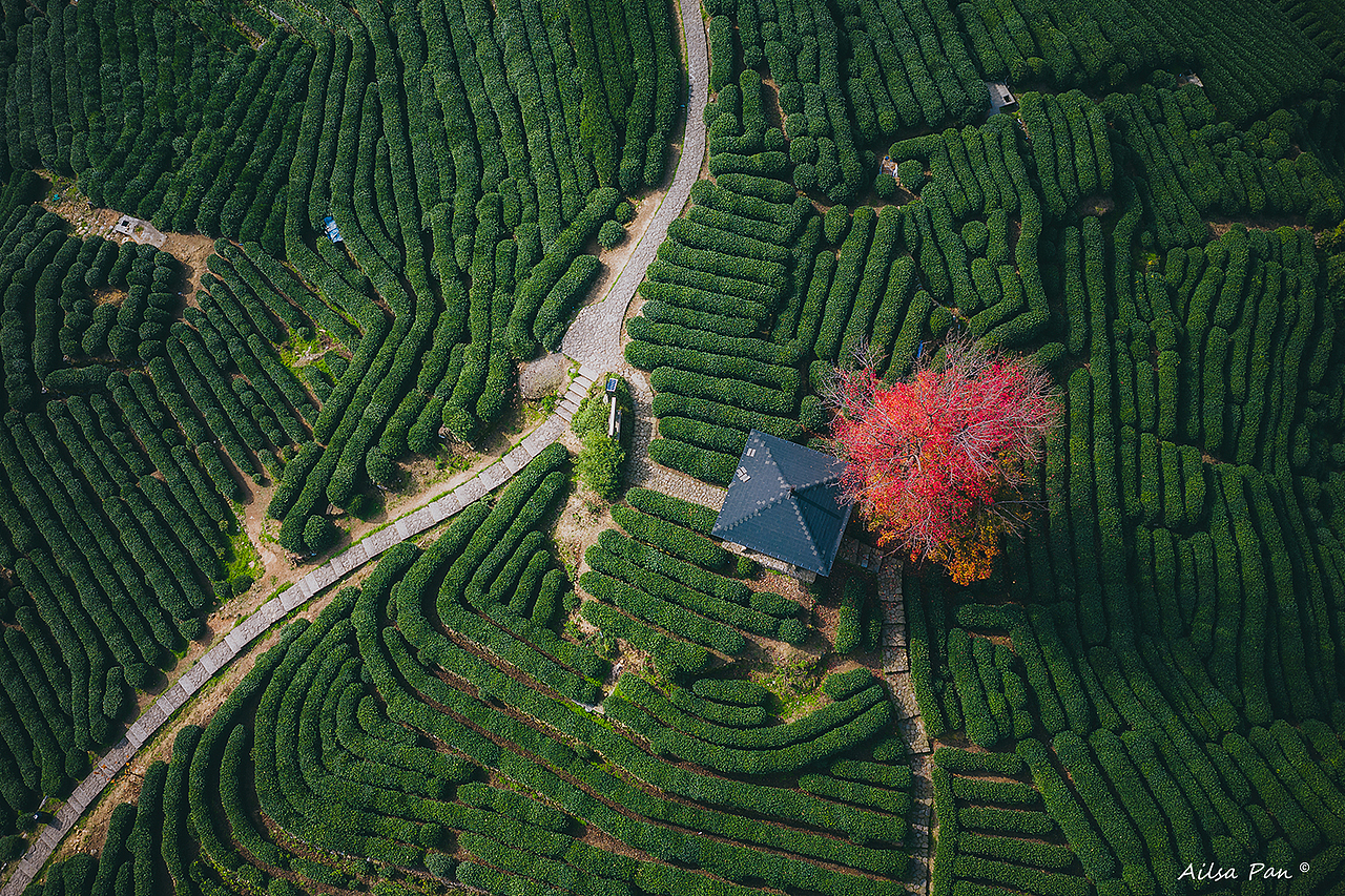 杭州航拍_潘熊熊Ailsa-站酷ZCOOL