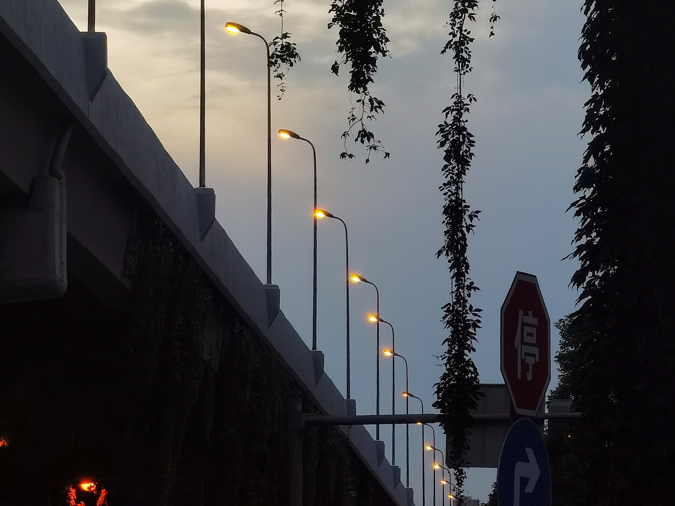 记录生活 随手拍_Ma丶叔叔-站酷ZCOOL