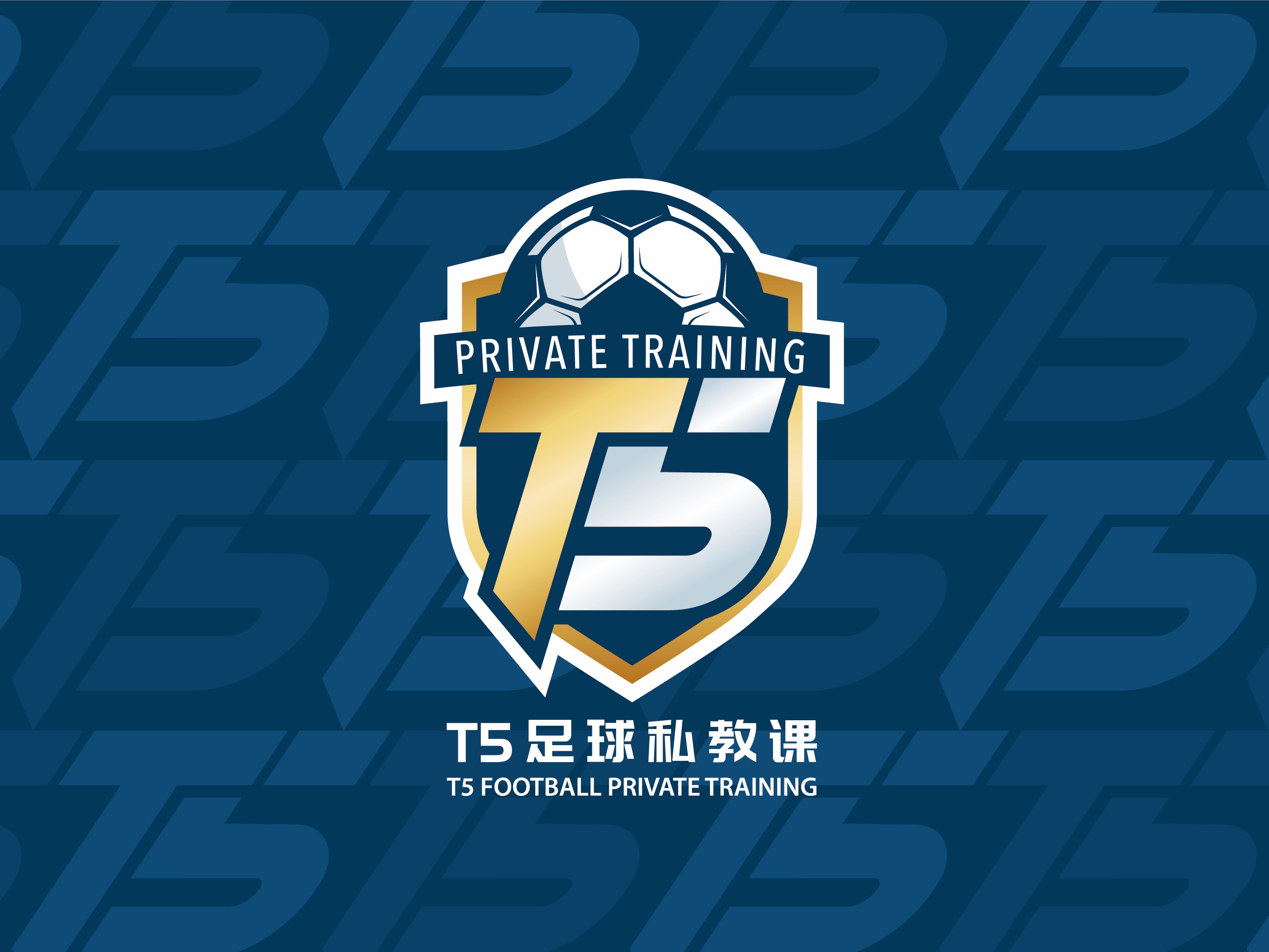 T5-LOGO（商稿）_秋米Demi-站酷ZCOOL