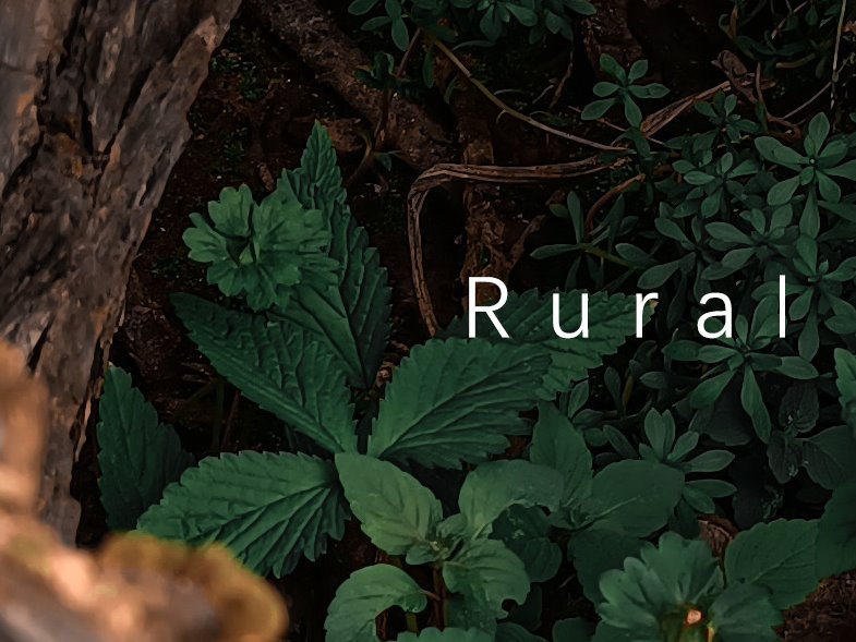 rural life_年轻的丁春秋-站酷ZCOOL