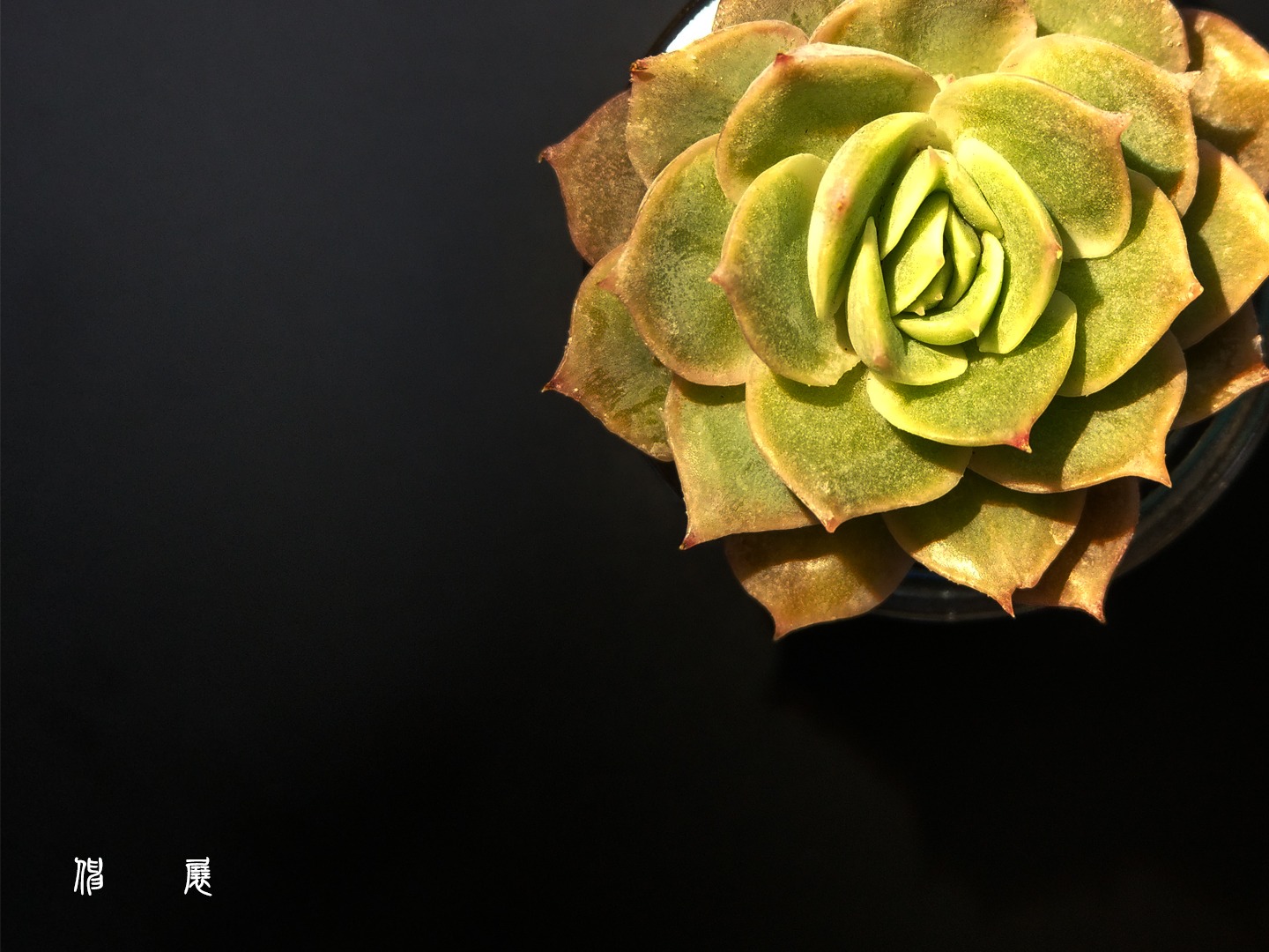 伸展_Wzy毅-站酷ZCOOL