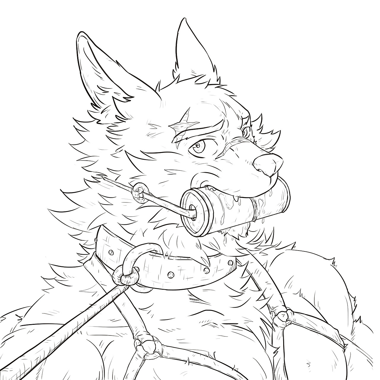 furry_一条哈士奇-站酷ZCOOL