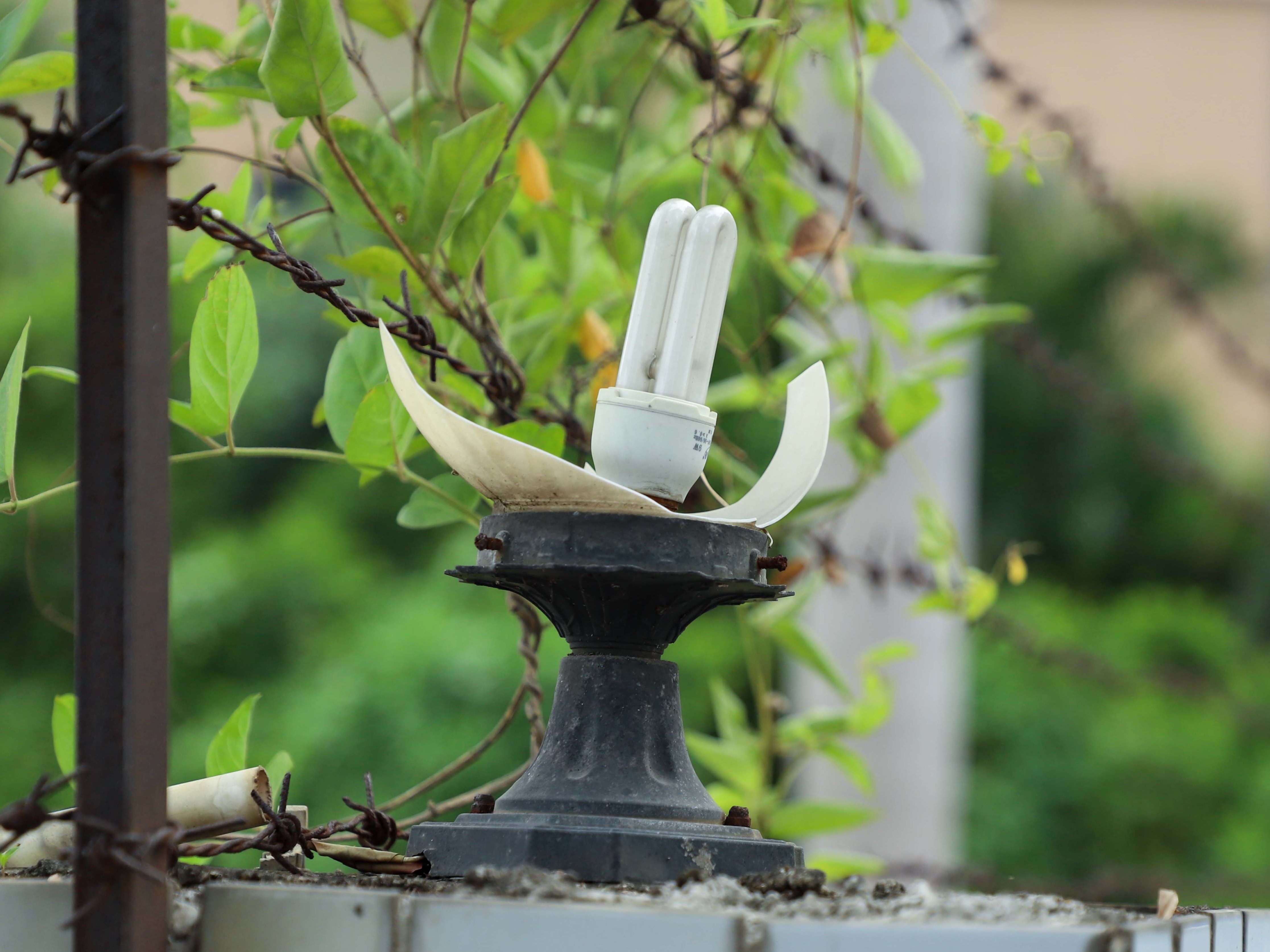 路边的灯泡_拍一夜-站酷ZCOOL