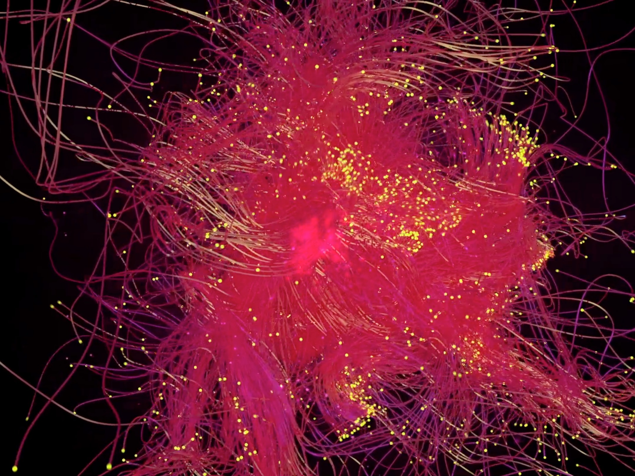 Reborn-粒子特效短片_Huke_流星-站酷ZCOOL