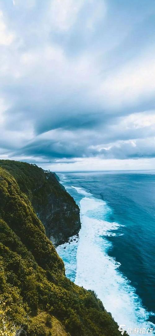 A little red flower_游侠学士-站酷ZCOOL