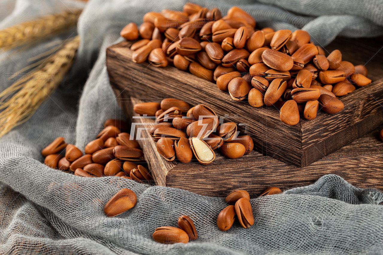 松子 | 美食摄影_摄影师MrWang-站酷ZCOOL