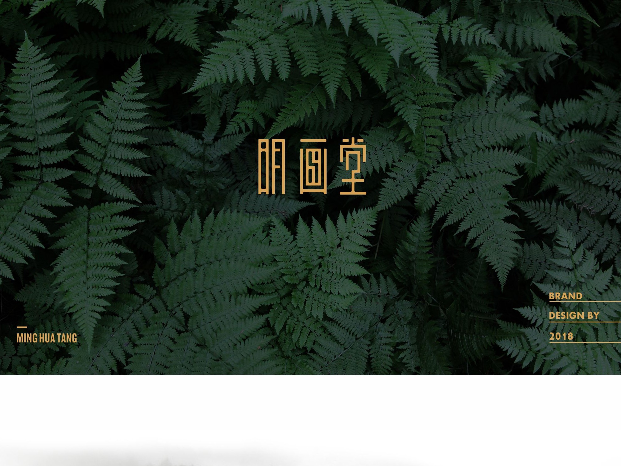 MING HUA TANG BRAND DESIGN 明画堂-品牌全案服务_两极BIPOR-站酷ZCOOL