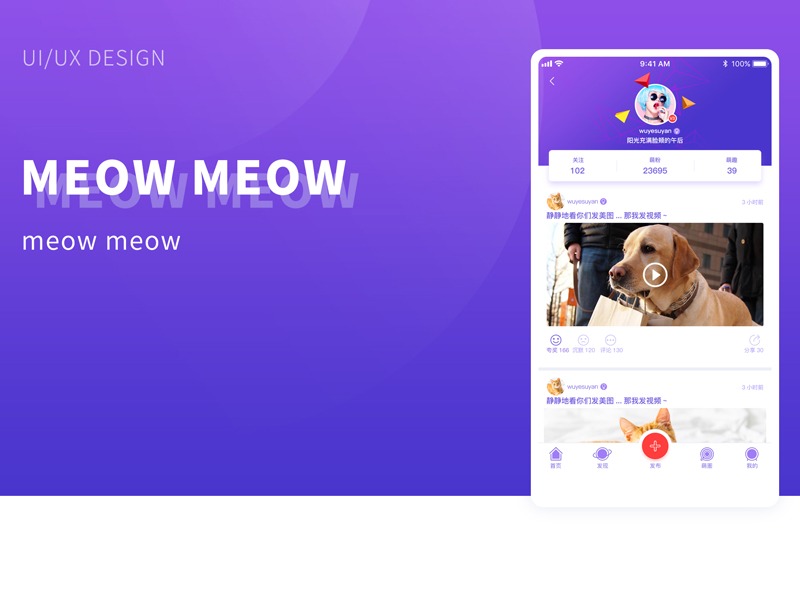 宠物喵 | MEOW MEOW_知伙兴兴-站酷ZCOOL