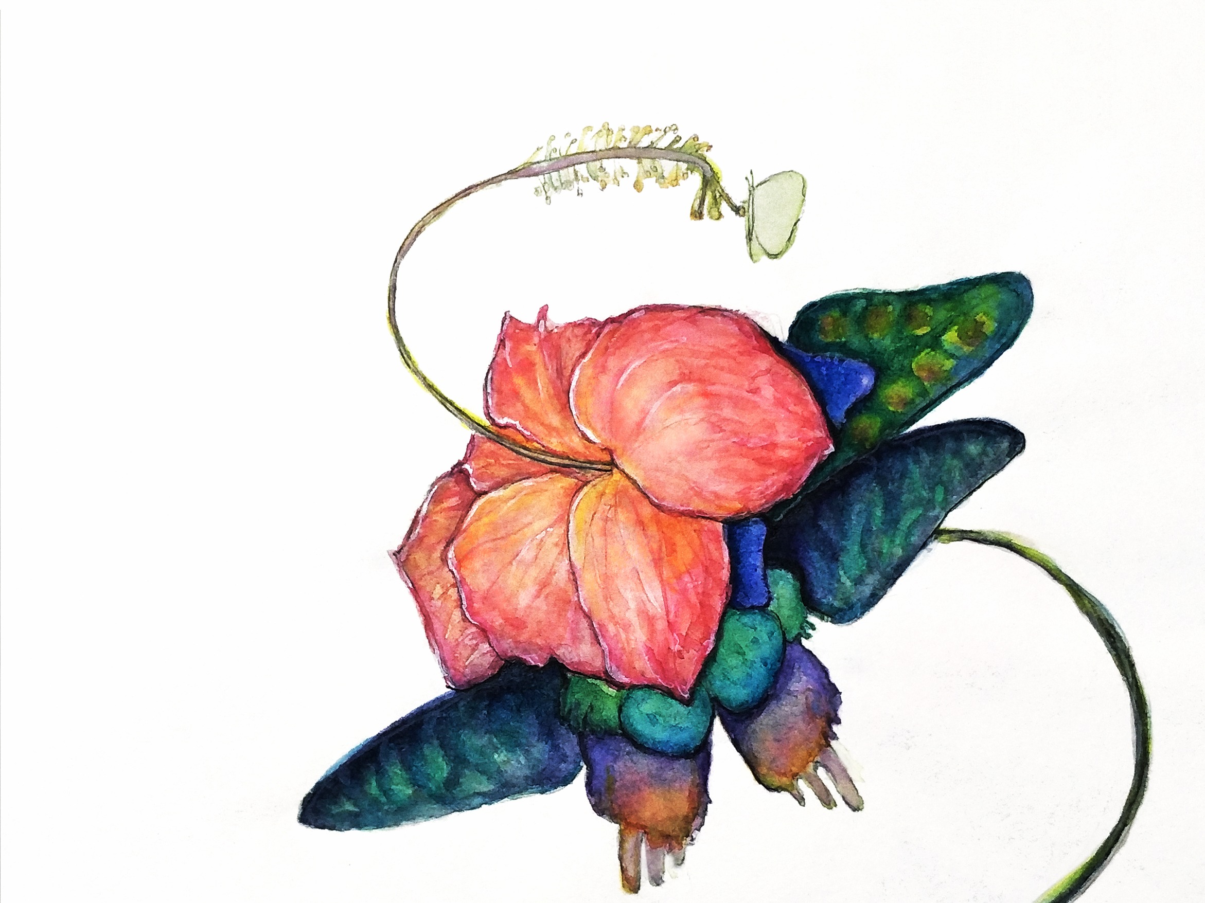 花绘_Hsia-站酷ZCOOL