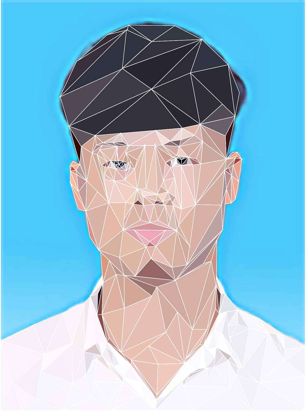 Low-poly插画practice_肉块块-站酷ZCOOL