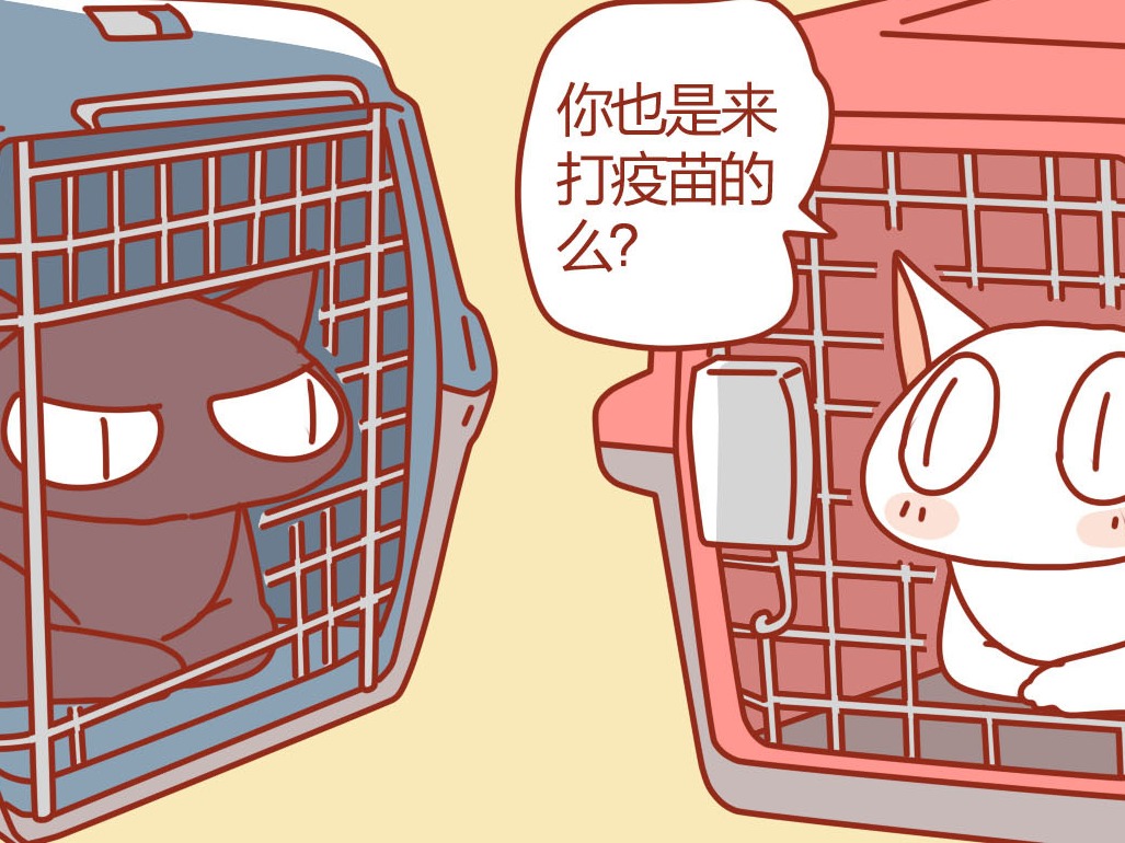 猫咪甜品屋（1）_丸77-站酷ZCOOL