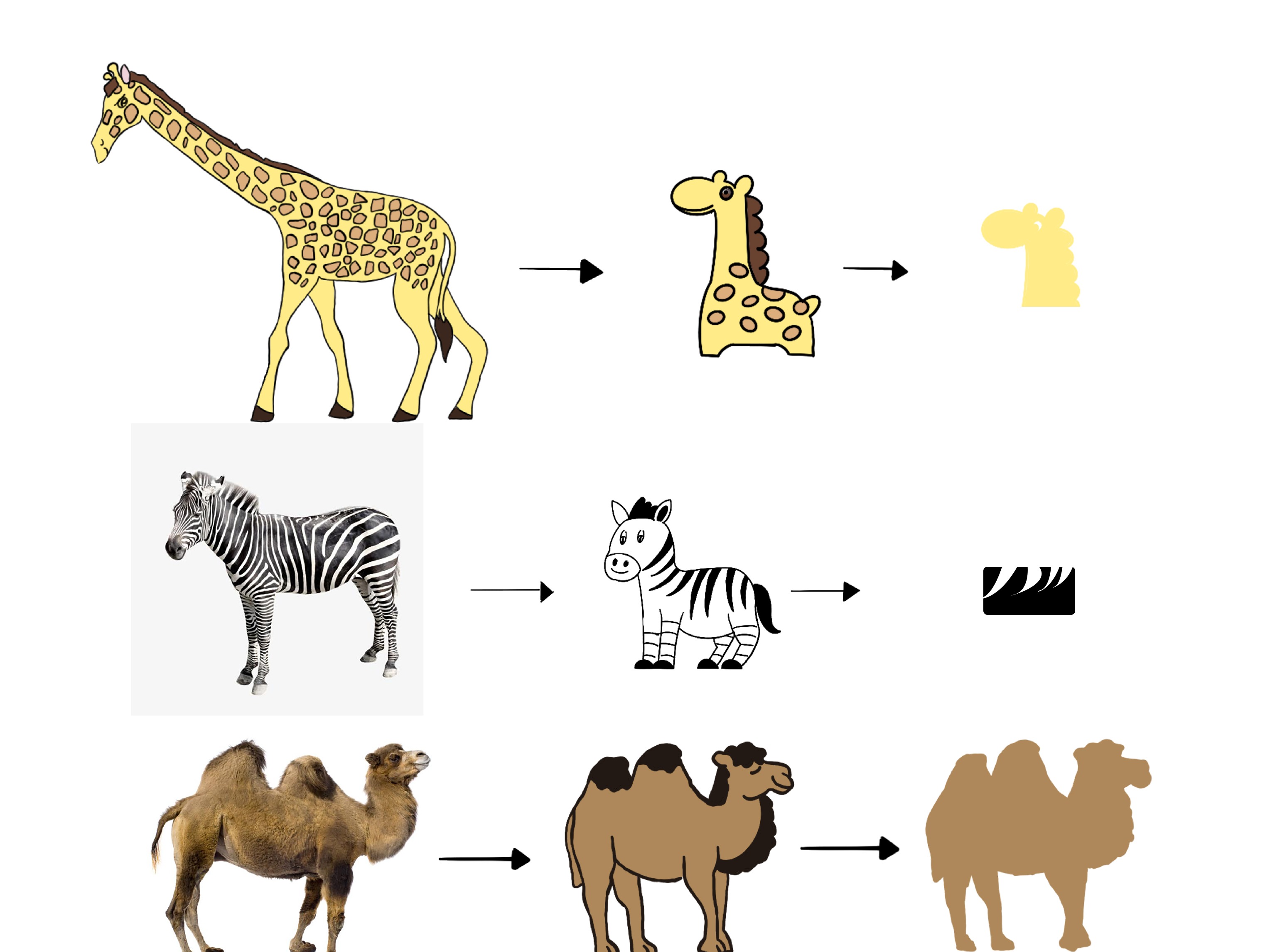 动物信息可视图标_龙鑫Lacey-站酷ZCOOL