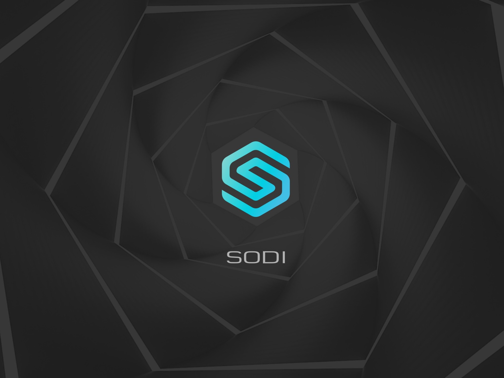 SODI Brand_363944329-站酷ZCOOL